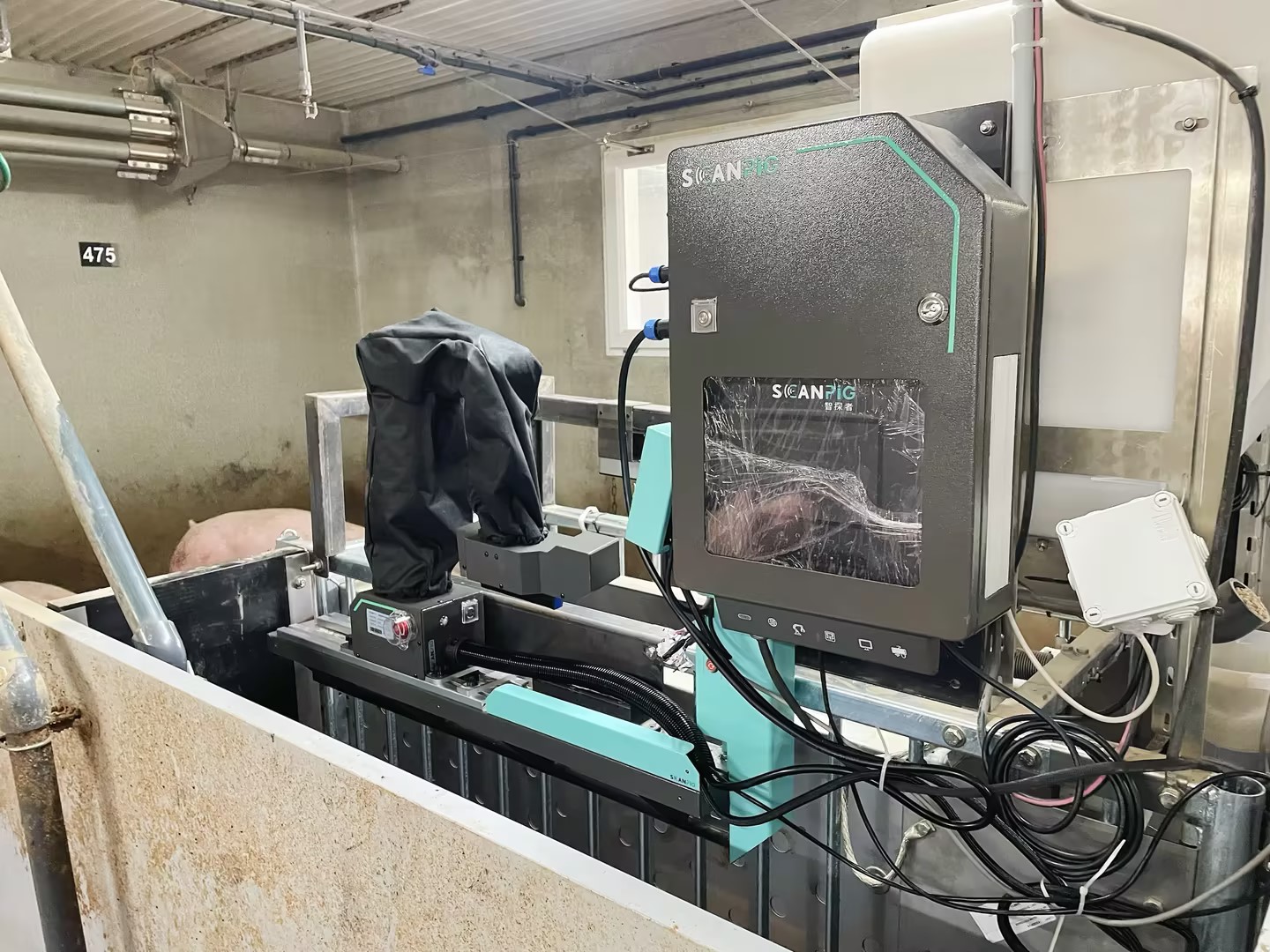 ScanPig - Kinghoo AgroTech